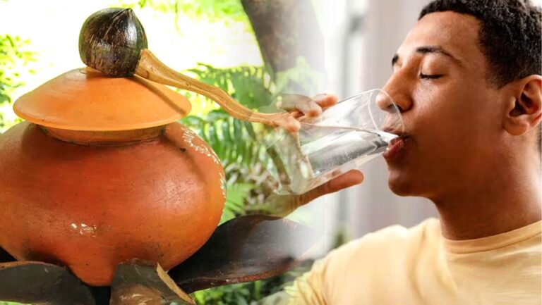 Matka Water: Benefits and How to Fill It - Dr. Raghav Thukral