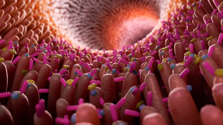 Your Gut Lining Rebuilds Every 5 Days - Dr. Raghav Thukral